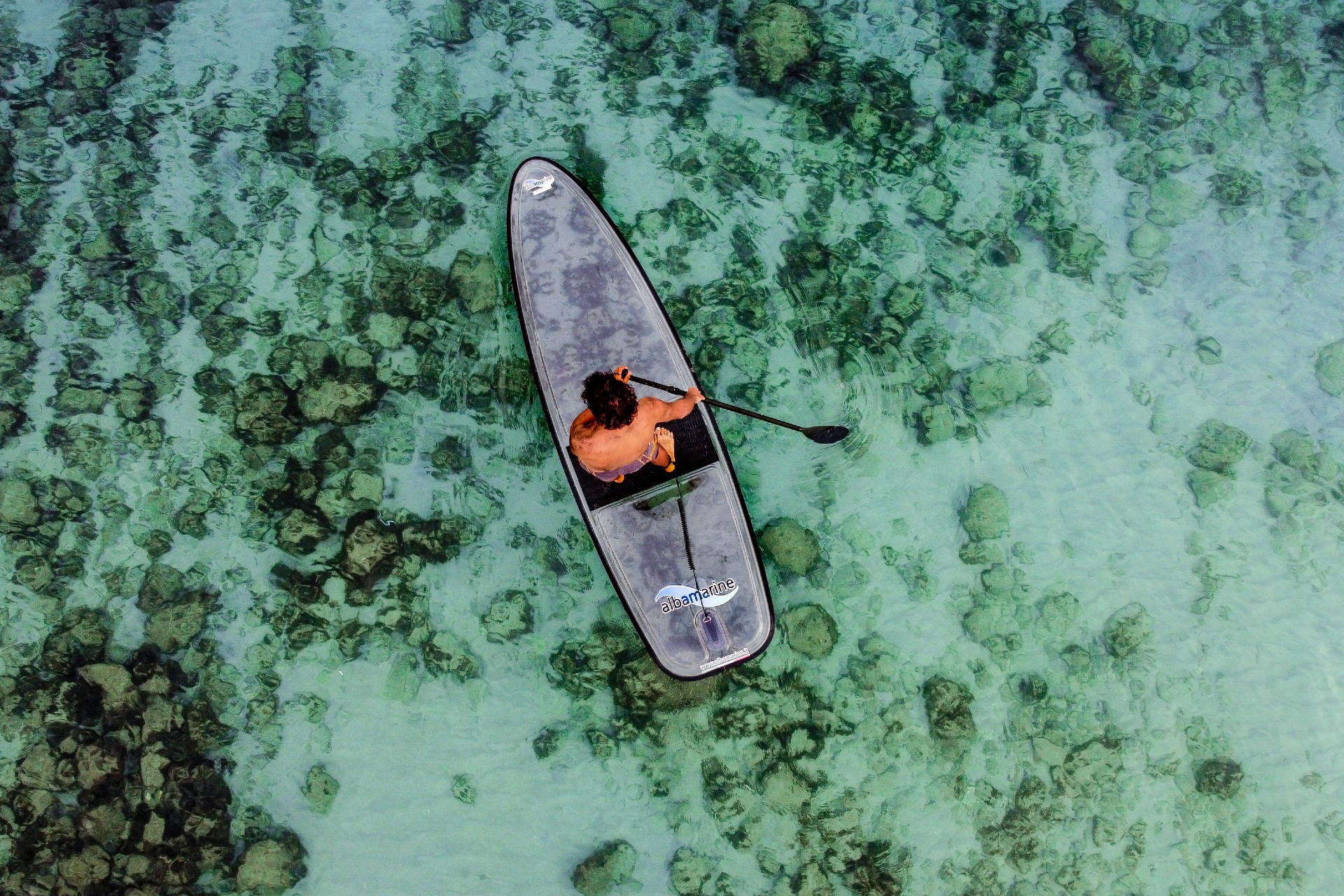 Ocean SUP | Albamarine – Canoes and Kayaks – OCEAN exclusivists for Europe